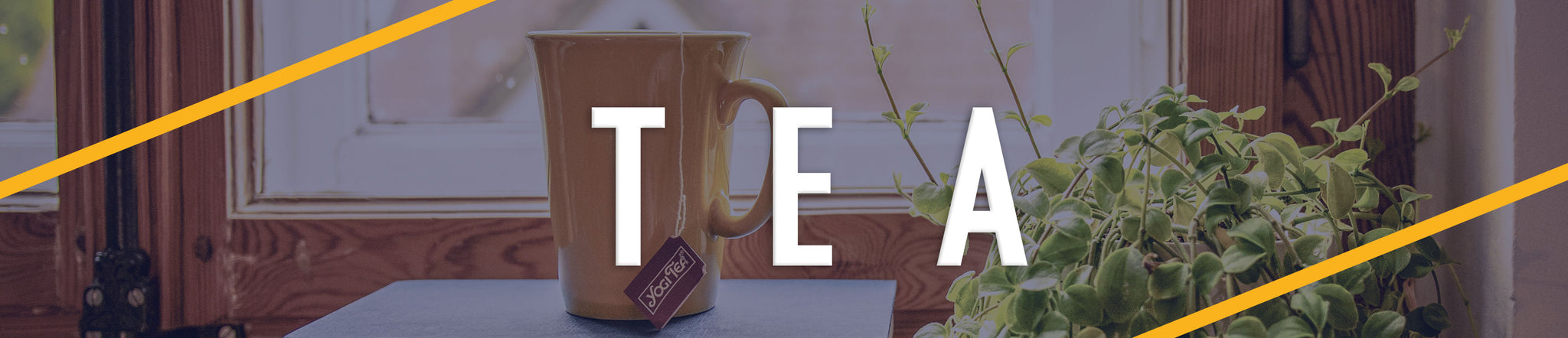 Tea – Steam Anchor Roasters