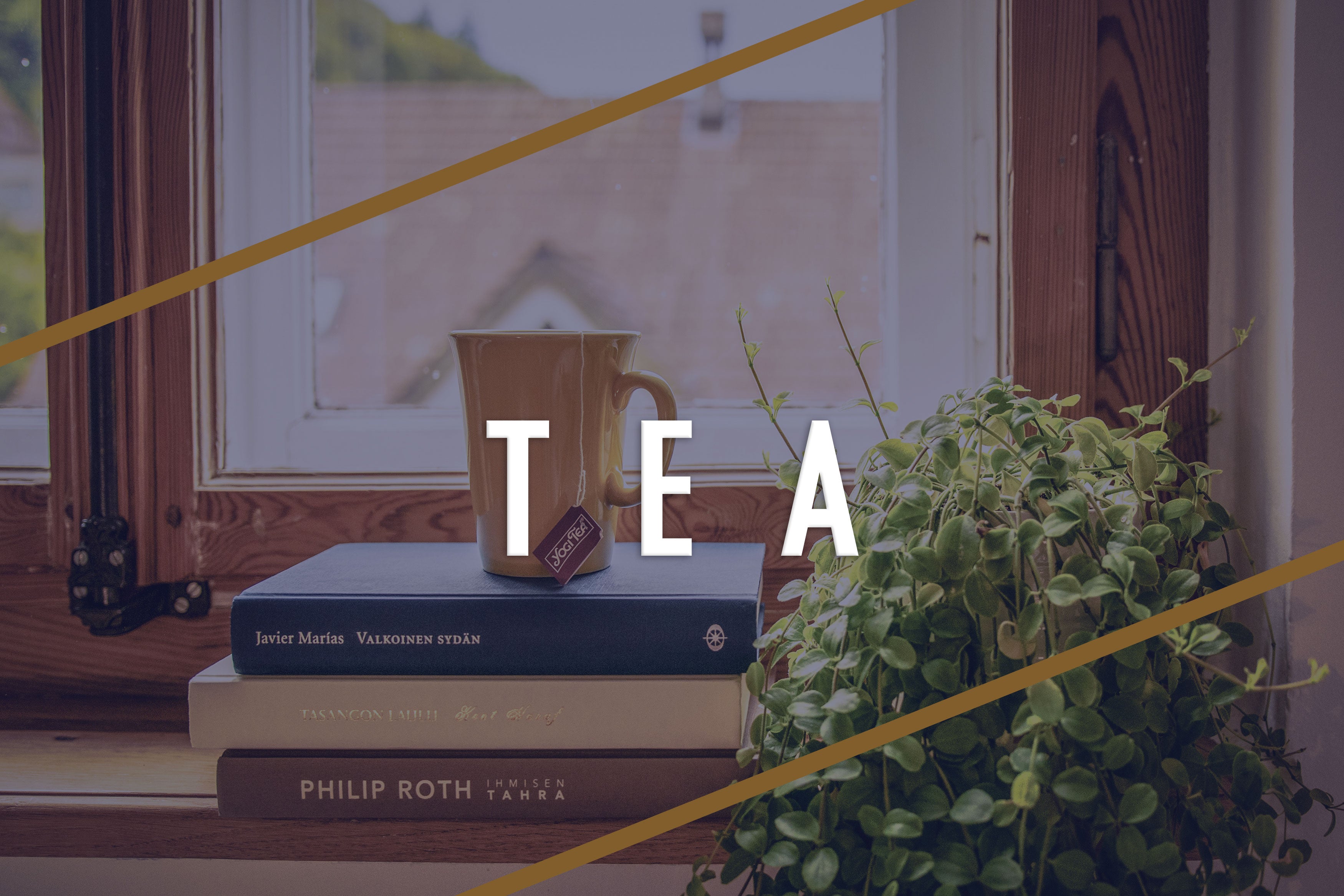 Build A Box – Steam Anchor Roasters